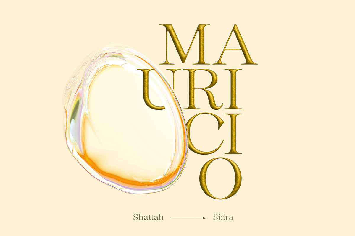 Designing the Mauricio Shattah Sidra – Assembly Coffee London